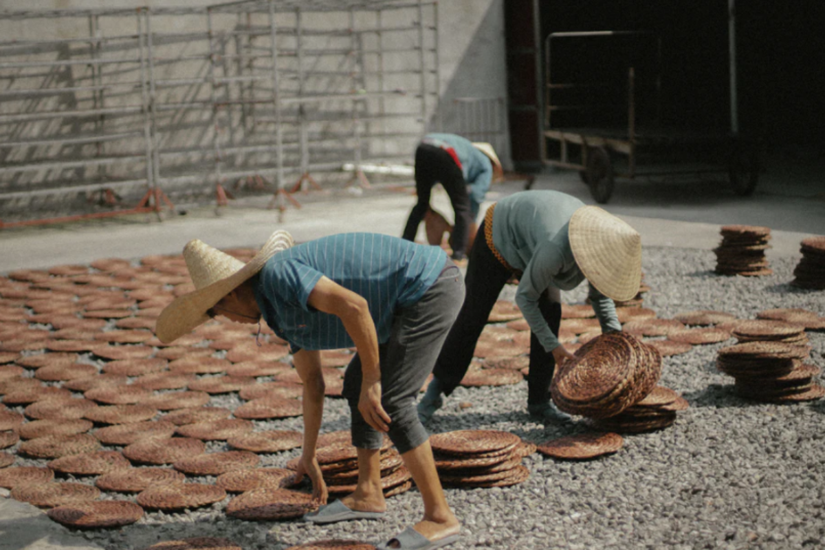 Kim Son Craft Village: A Legacy of Handwoven Artistry – Artera Home