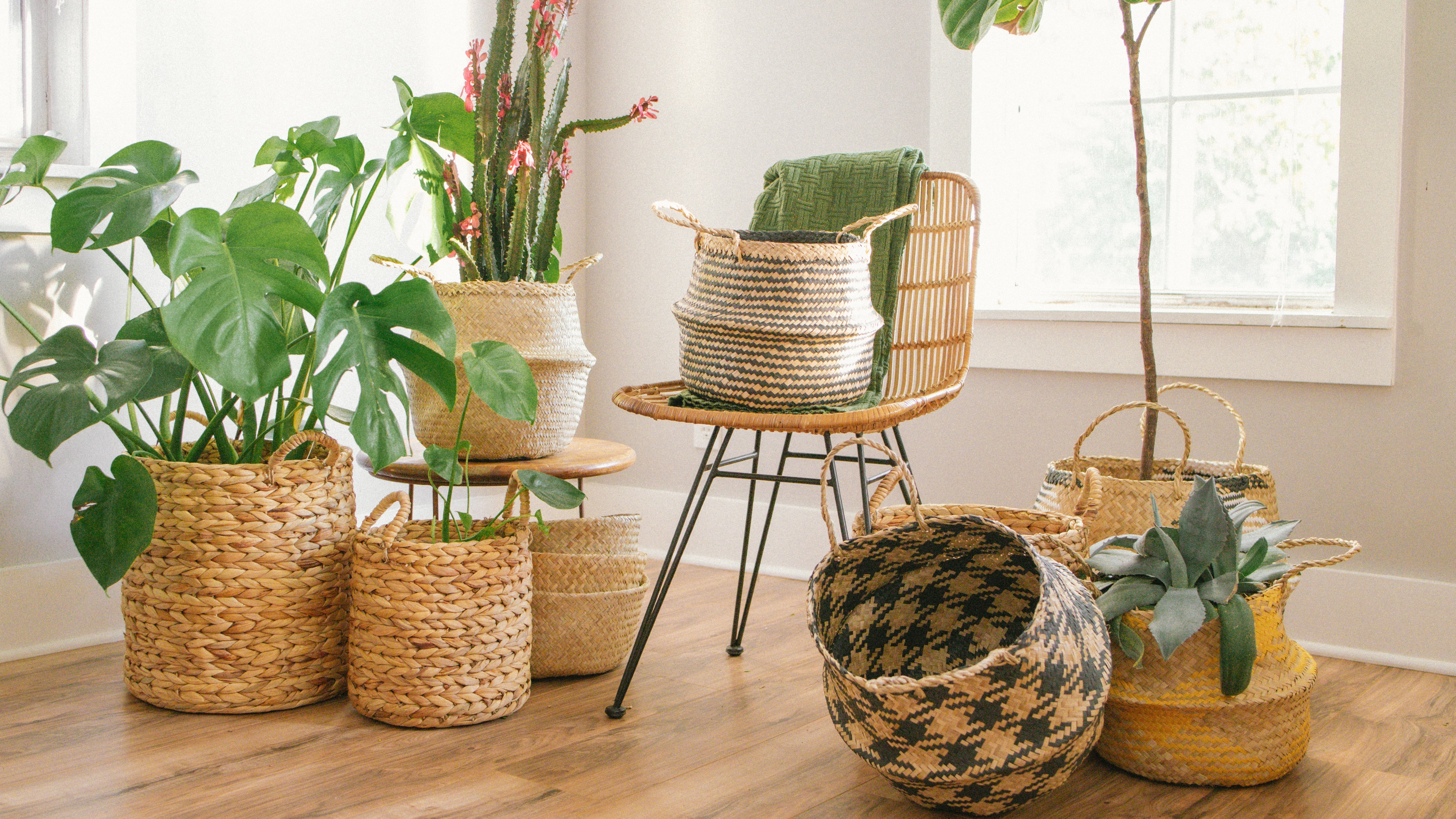 4 Creative Boho Plant Basket Ideas to Elevate Your Home – Artera Home